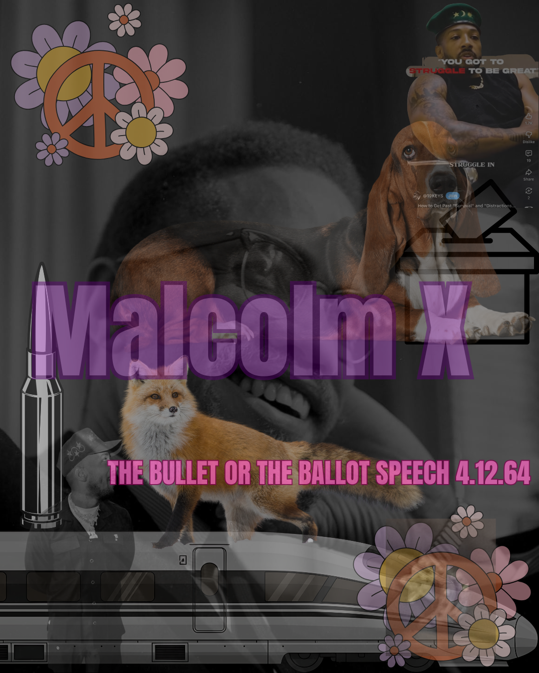 The Ballot or the Bullet. – Laly Is Art