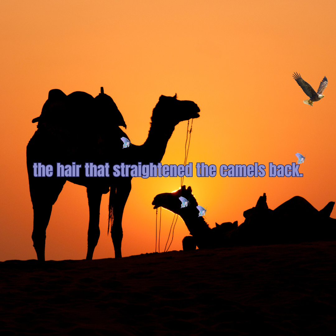 the hair that straightened the camels back. – Laly Is Art